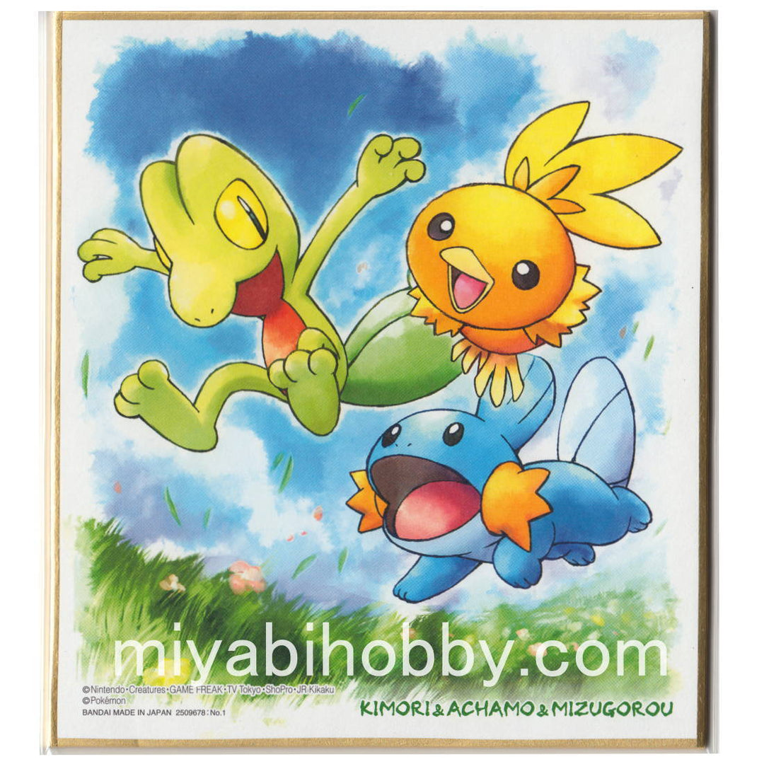 Pokemon Shikishi Art Boards Treecko, Torchic, Mudkip #3-01 miyabihobby